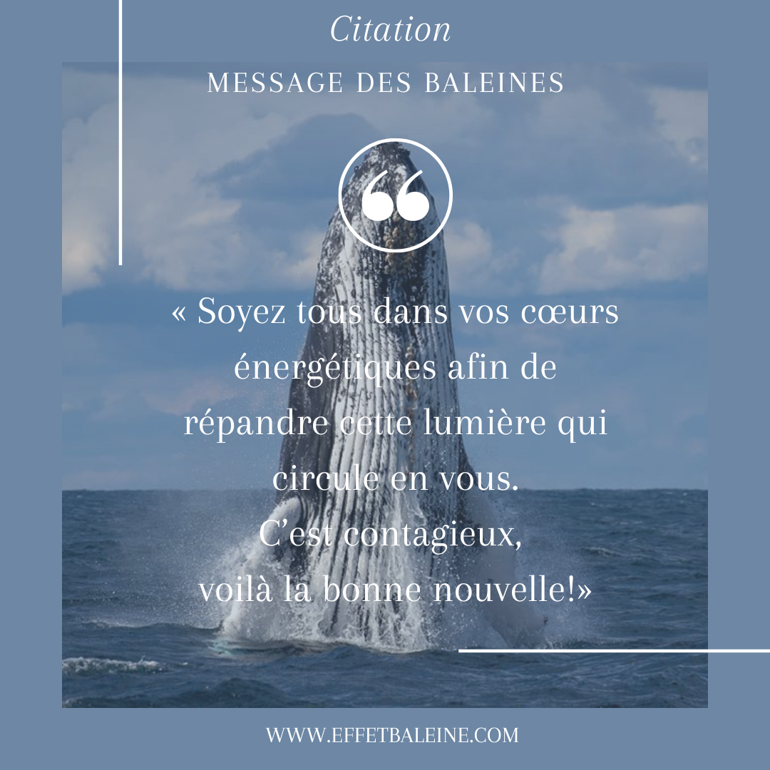 CITATION DU JOUR